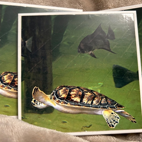 Accents | Reptile Aquarium Photo Ceramic Tile Coaster | Poshmark